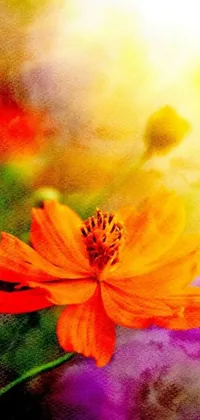 Nature Flower Orange Live Wallpaper - free download