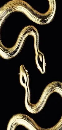 Golden Snake Surrealist Live Wallpaper - free download