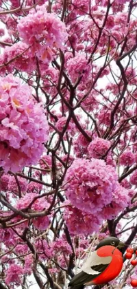 Serene Pink Tree Live Wallpaper - free download