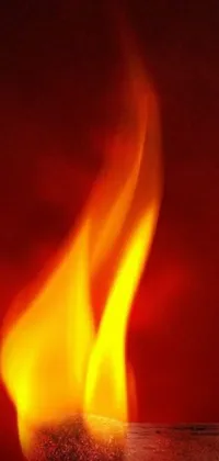 Orange Light Fire Live Wallpaper - free download