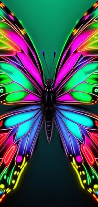 Butterfly Pollinator Insect Live Wallpaper