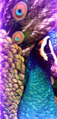 Peacock from Jan Rustem ___ Live Wallpaper - free download