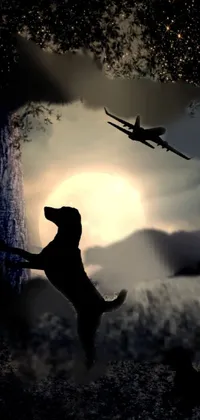 the dogs Live Wallpaper - free download