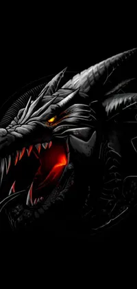 Shadow Dragon Wallpaper