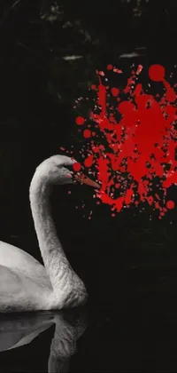 death Live Wallpaper - free download
