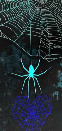Cyan Spider Web Live Wallpaper: Net Art Elegance - free download