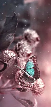 Plant Liquid Pollinator Live Wallpaper - free download