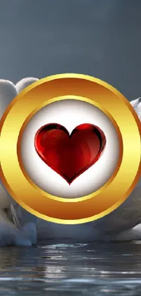 Water Liquid Nature Live Wallpaper - free download