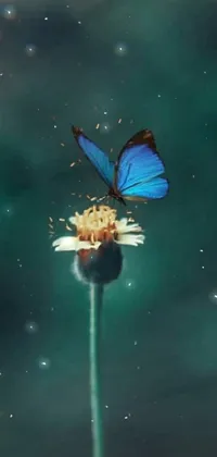 Liquid Insect Pollinator Live Wallpaper - free download