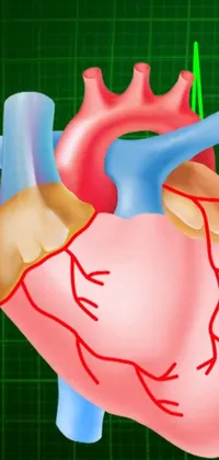 Head Green Human Body Live Wallpaper - free download