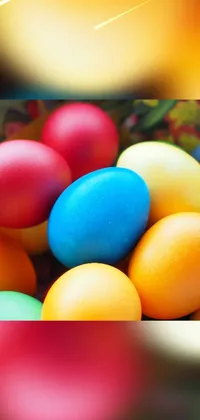 Colorfulness Egg Easter Live Wallpaper - free download