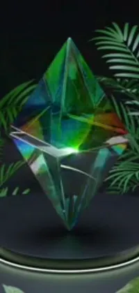 Triangle Organism Terrestrial Plant Live Wallpaper