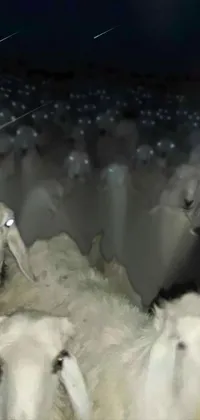 Ethereal Sheep Live Wallpaper