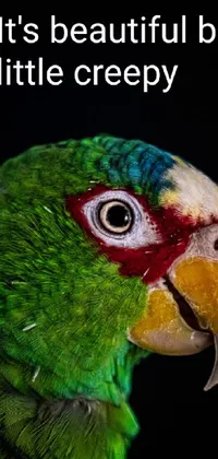 Creepy-cute Parrot Live Wallpaper: Freakishly Beautiful! - free download