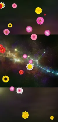 Plant Lighting Yellow Live Wallpaper - free download