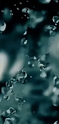 Water Liquid Nature Live Wallpaper