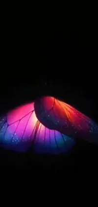 Gas Visual Effect Lighting Astronomical Object Live Wallpaper