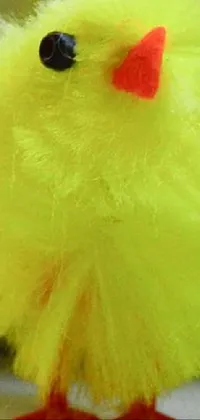 Toy Beak Red Live Wallpaper - free download