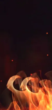 Fire Flame Heat Live Wallpaper - free download