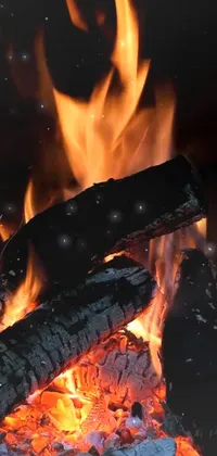 Flame Fire Heat Live Wallpaper