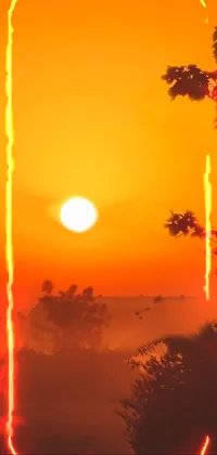 rise sun Live Wallpaper - free download