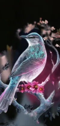 Bird Light Beak Live Wallpaper - free download