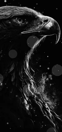 Black Live Wallpaper - free download