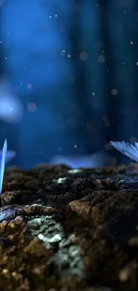 Blue Live Wallpaper - free download