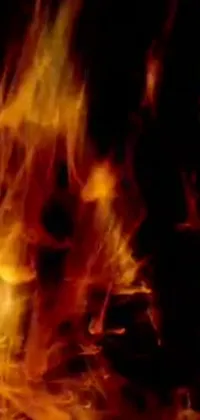 Fire Flame Heat Live Wallpaper - free download