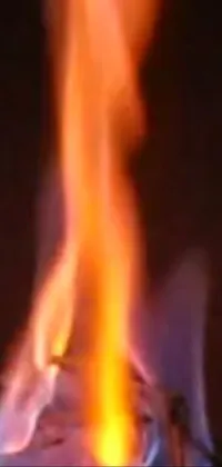 World Flame Fire Live Wallpaper - free download