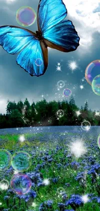 Cloud Light Blue Live Wallpaper - free download