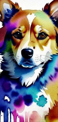 Dog Carnivore Dog Breed Live Wallpaper - free download