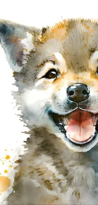 Dog Carnivore Fawn Live Wallpaper