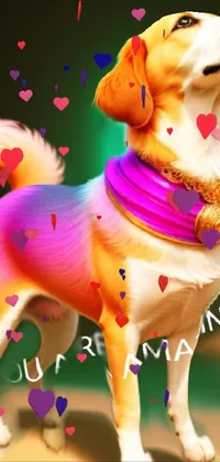 Dog Carnivore Dog Supply Live Wallpaper