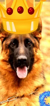 Dog Plant Carnivore Live Wallpaper