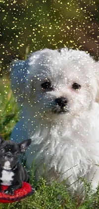 Dog Plant Green Live Wallpaper - free download