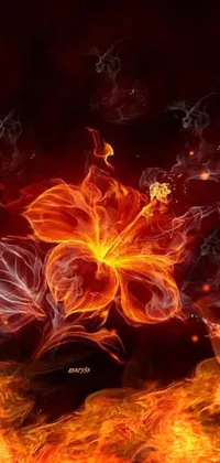 Fire Flame Cg Artwork Live Wallpaper - free download
