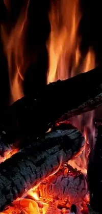 Mesmerizing Fire Live Wallpaper for Your Phone