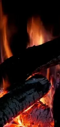 Mesmerizing Fire Live Wallpaper for Your Phone