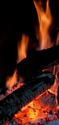 Fire Flame Heat Live Wallpaper