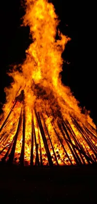 Fire Live Wallpaper - free download