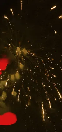 Fireworks Celebrating Midnight Live Wallpaper - download