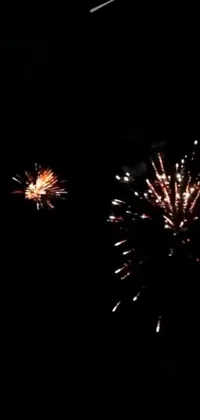 Fireworks Celebrating Midnight Live Wallpaper - download