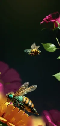 Flower Pollinator Insect Live Wallpaper