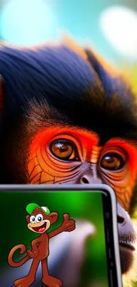 funny Live Wallpaper - free download