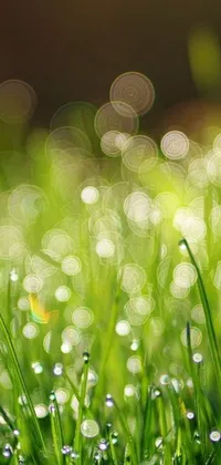 Light Abstract Live Wallpaper - free download