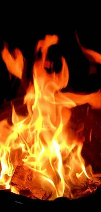 Fiery Flames Live Wallpaper - Campfire Walls - free download