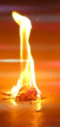 World Flame Fire Live Wallpaper - free download