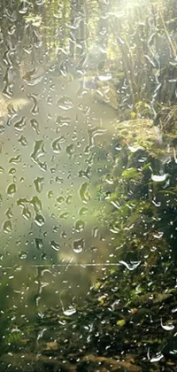 rainy day Live Wallpaper - free download