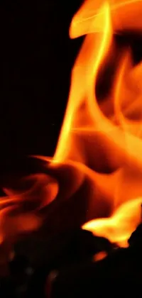 Orange Fire Flame Live Wallpaper - free download